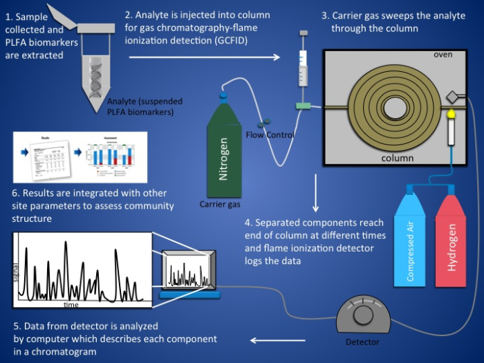 5 Microbial Fingerprinting Methods