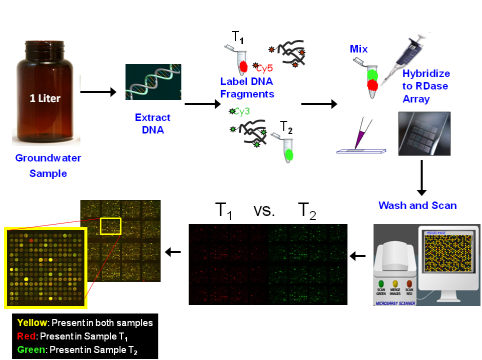 6 Microarrays